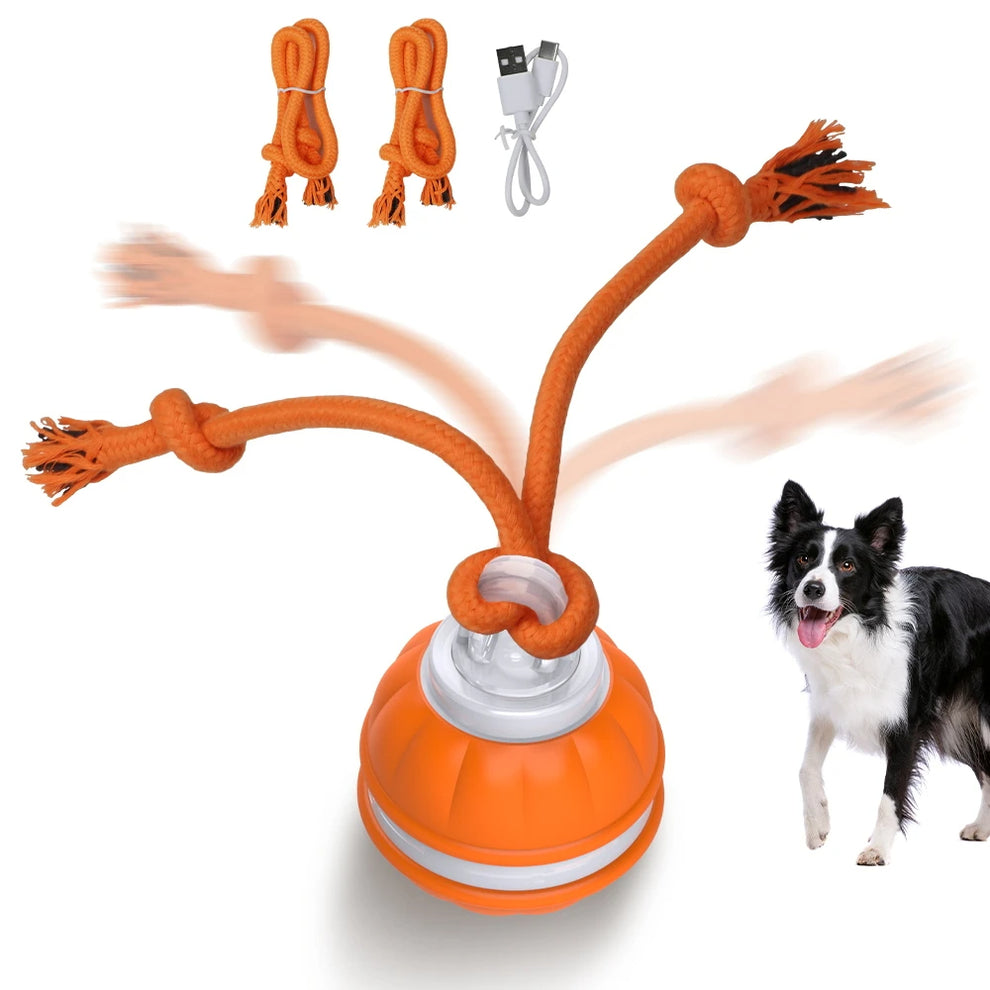 Interactive Dog Toys & Automatic Rolling Ball Toy for Small Dog – Smile ...